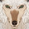 Pov Solune Is Watching You Impatiently By Drawalotosaur On Deviantart