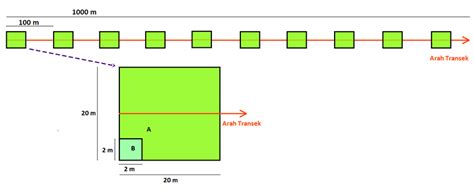 The Design Of Vegetation Transects And Observation Plots Tree Plot A Download Scientific