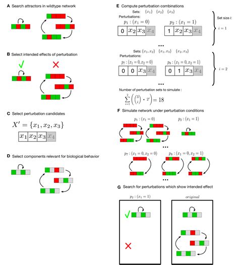 Figure 1 From Automatic Screening For Perturbations In Boolean Networks Semantic Scholar