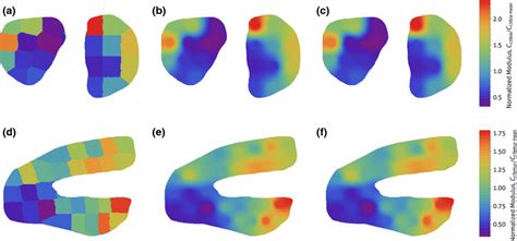 Tibial Normalized Moduli Distributions Crtibiacrtibia Download