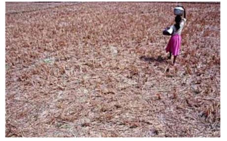 Problems Of Flood And Drought Geography Of Water Resources