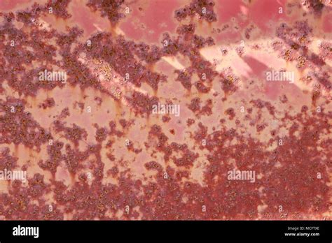 Rust Corrosion Texture Full Frame Image Background Stock Photo Alamy