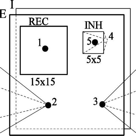 4 The Relevant Areas Of The Perisylvian Cortex In Man And Homologous