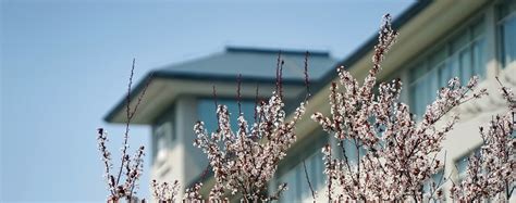 南京农业大学发展党员培训体系实施办法（试行） 南京农业大学人文与社会发展学院