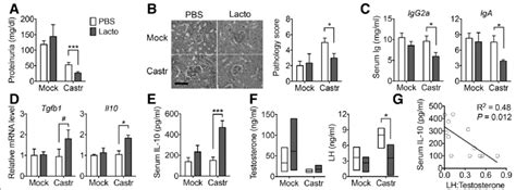 Sex Hormones And Gut Microbiota Cooperatively Regulate Ln A