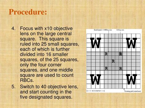 PPT RBC Manual Count PowerPoint Presentation Free Download ID 3725796