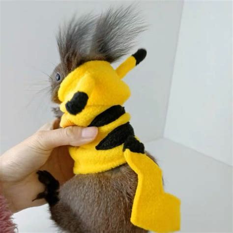 Pikachu Cat Costume Etsy