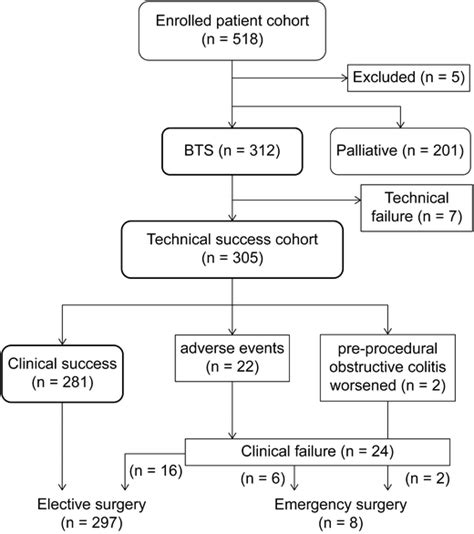 Patient Analysis Flowchart Bts Bridge To Surgery Download Scientific Diagram