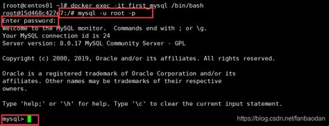 Docker Pull Mysql8详细过程docker 拉取mysql8 Csdn博客