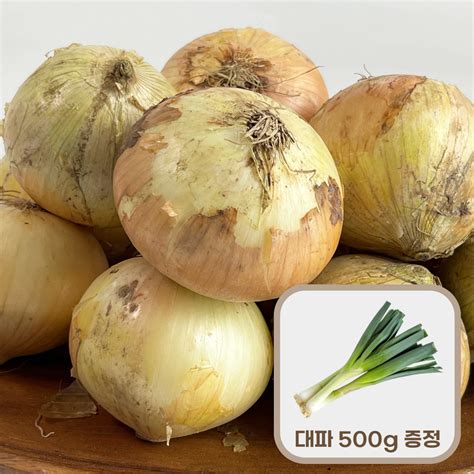 식재료의 명품관 식명관