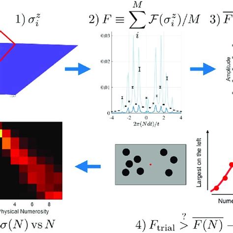 Magnetisation Profiles A Evolution Of The Local Magnetisation S Z I