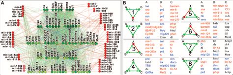 Figure 1 From Identification Of Functional Elements And Regulatory