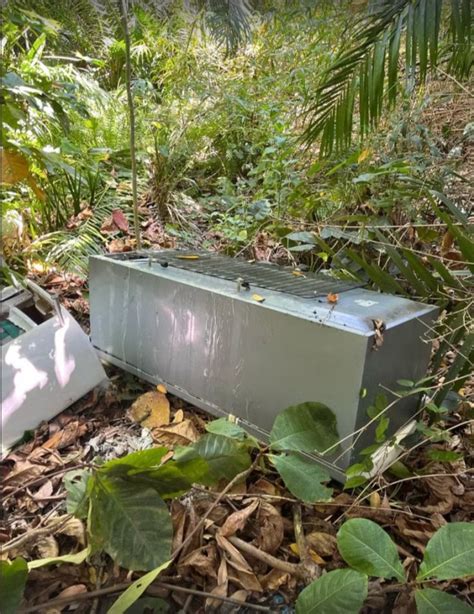 Girl 13 Admits Helping To Kill Her Own Mum And Stuffing Her Body In A