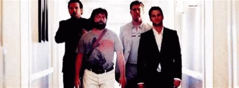 The Hangover  The Hangover Discover And Share S