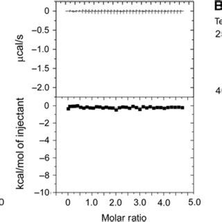 Identification of χ variants with compromised SSB binding A Download Scientific Diagram