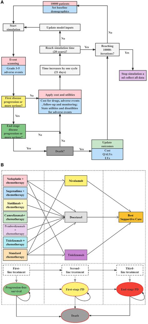 Decision Analytic Model And Treatment Strategies A Microsimulation Download Scientific