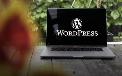 Hackers Exploit Wp Automatic Plugin Vulnerability Threatening Wordpress The Cyber Express By
