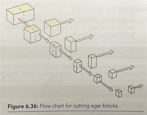 Core Practical 6 5 Investigating The Effect Of Surface Area Volume Ratio On The Rate Of