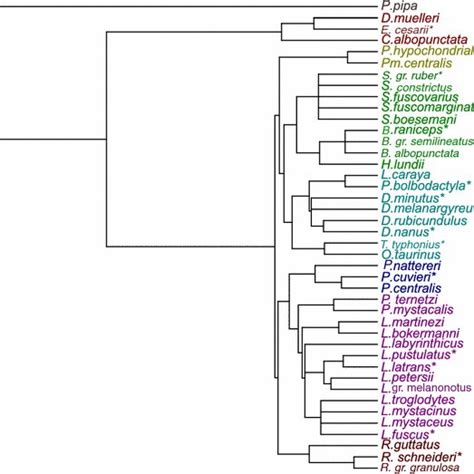 Functional Trait Dendrogram A With Every Species Observed During
