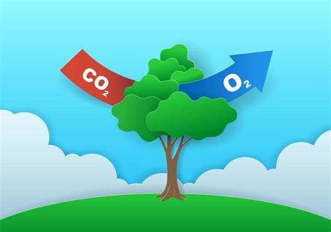 Decarbonization Vector Art Icons And Graphics For Free Download