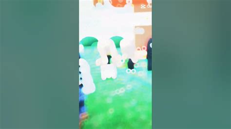 Kevin Si My Papi😉😉 Youtube