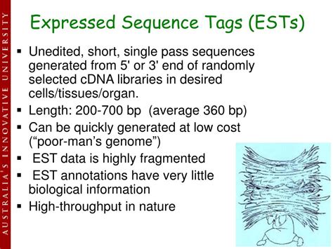 Ppt Shivashankar H Nagaraj And Shoba Ranganathan Professor And Chair Bioinformatics