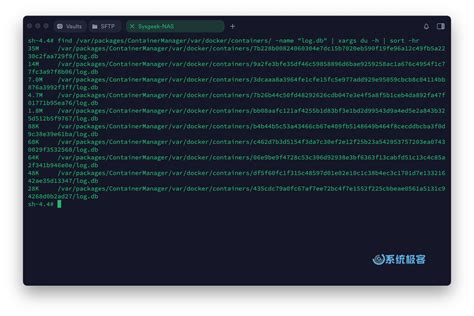 Docker 日志管理指南：查看位置、大小、清理和限制增长 系统极客