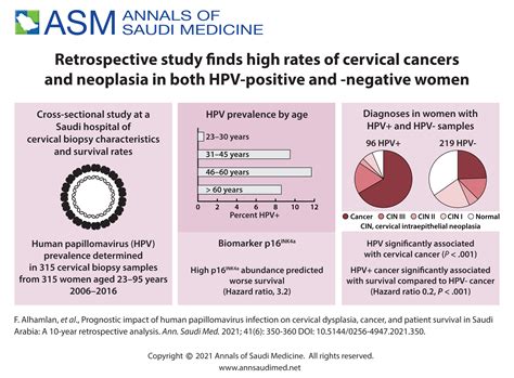 Hpv Infection Chain