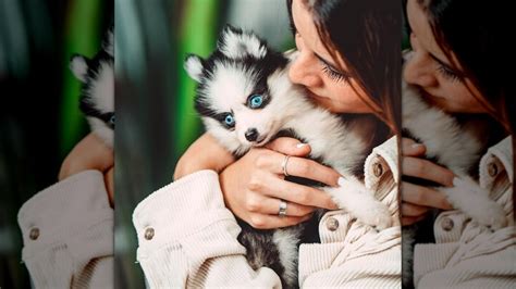 Who Is Celebrity Chef Nick Digiovannis Girlfriend Isabelle Tashima