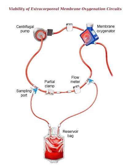 Circuit Design Simulating Av Bridge Showing Position Of Sampling Port
