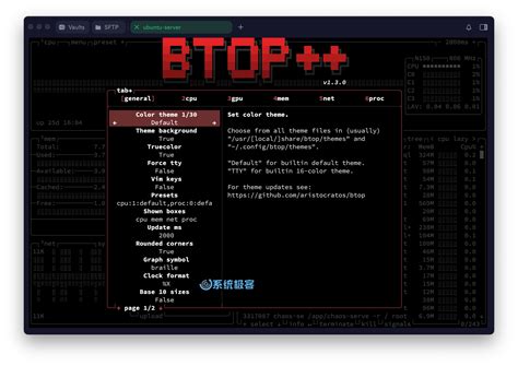 Btop 安装和使用指南：全面超越 Top 的 Linux 系统监控工具 木子欢儿 博客园