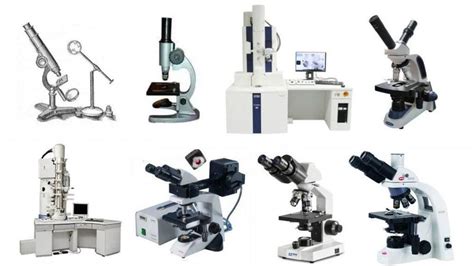Types Of Microscopes Comparison Chart Functions And Uses