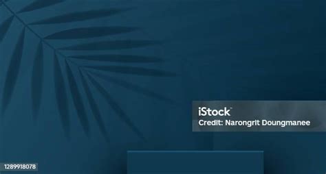 제품 브랜딩 및 패키징 프레젠테이션을 위한 화장품 배경 잎 배경의 그림자와 연단 무대에서 형상 양식 원 성형 벡터 디자인 Eps10 경관에 대한 스톡 벡터 아트 및 기타