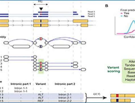 The Gatk Best Practices For Variant Calling On Rnaseq Rna Seq Blog