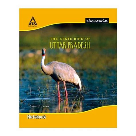 Printed Laminated Paper Classmate Single Lined Ruled Notebook 64 Pages