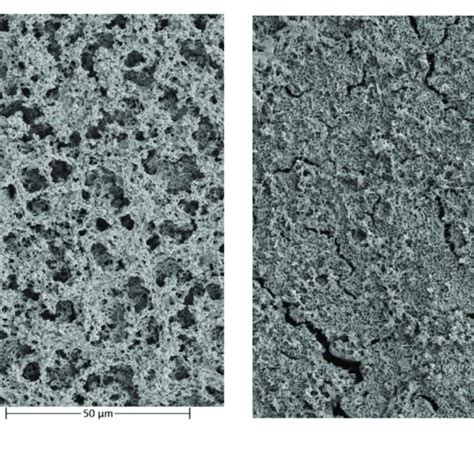 Sem Micrographs Of Fractured Surfaces After Minor Phase Solving At