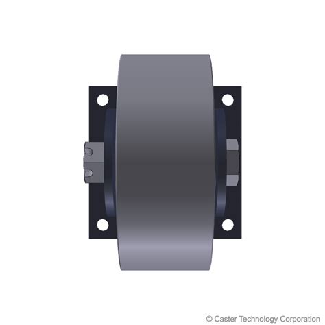 Rwm 125 Cit 1040 R Caster Technology Corporation