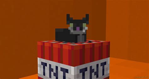 Maxwell The Carryable Cat кот из мема 1192