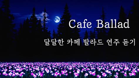 🎶 두근두근 발라드 연주 Playlist 카페에 그냥 틀어놔도 좋은 음악 들으러 오세요피아노오케스트라음악피아노오케스트라재즈팝어쿠스틱발라드새해복많이받기🎶