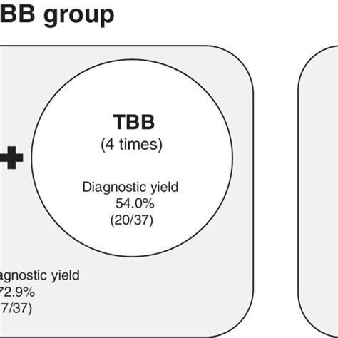 Schematic Figure Of Diagnostic Yield In Two Groups R‐ebus Radial