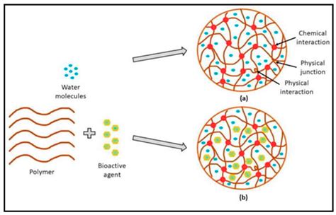 Chitosan Based Hydrogel For Dermal Infections Encyclopedia Mdpi