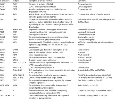 Regulatory Genes In Saccharomyces Cerevisiae With Corresponding Download Table