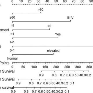 Nomogram Predicting 1 3 And 5 Year Overall Survival In The Training Download Scientific