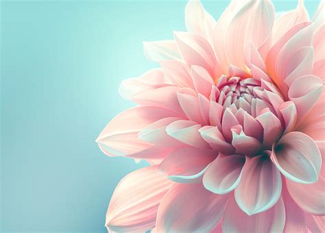 How To Install MySQL Using Docker And Docker Compose A Step By Step Tutorial