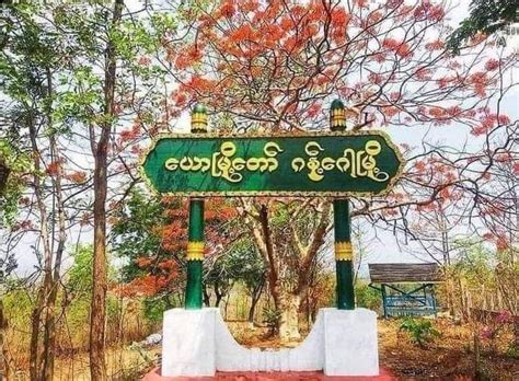 ဂန့်ဂေါမြို့နယ်၌ ရဲကား ၂ စီး မိုင်းခွဲတိုက်ခိုက်ခံရပြီး ရဲ ၅ ဦး အပြင