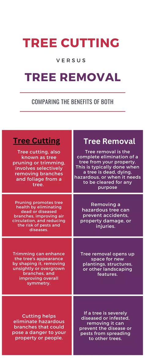 PPT Tree Cutting Vs Tree Removal PowerPoint Presentation Free Download ID 12506117