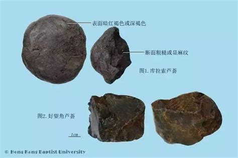 每天最少学一味中药 芦荟 每日头条