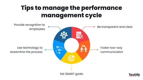 Stages Of The Performance Management Cycle Testlify