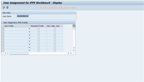 Oppe13 Sap Tcode User Assgmt Ippe Wb Professional