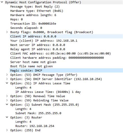 Dhcp Process Explained [step By Step Configuration Example] Learn Duty